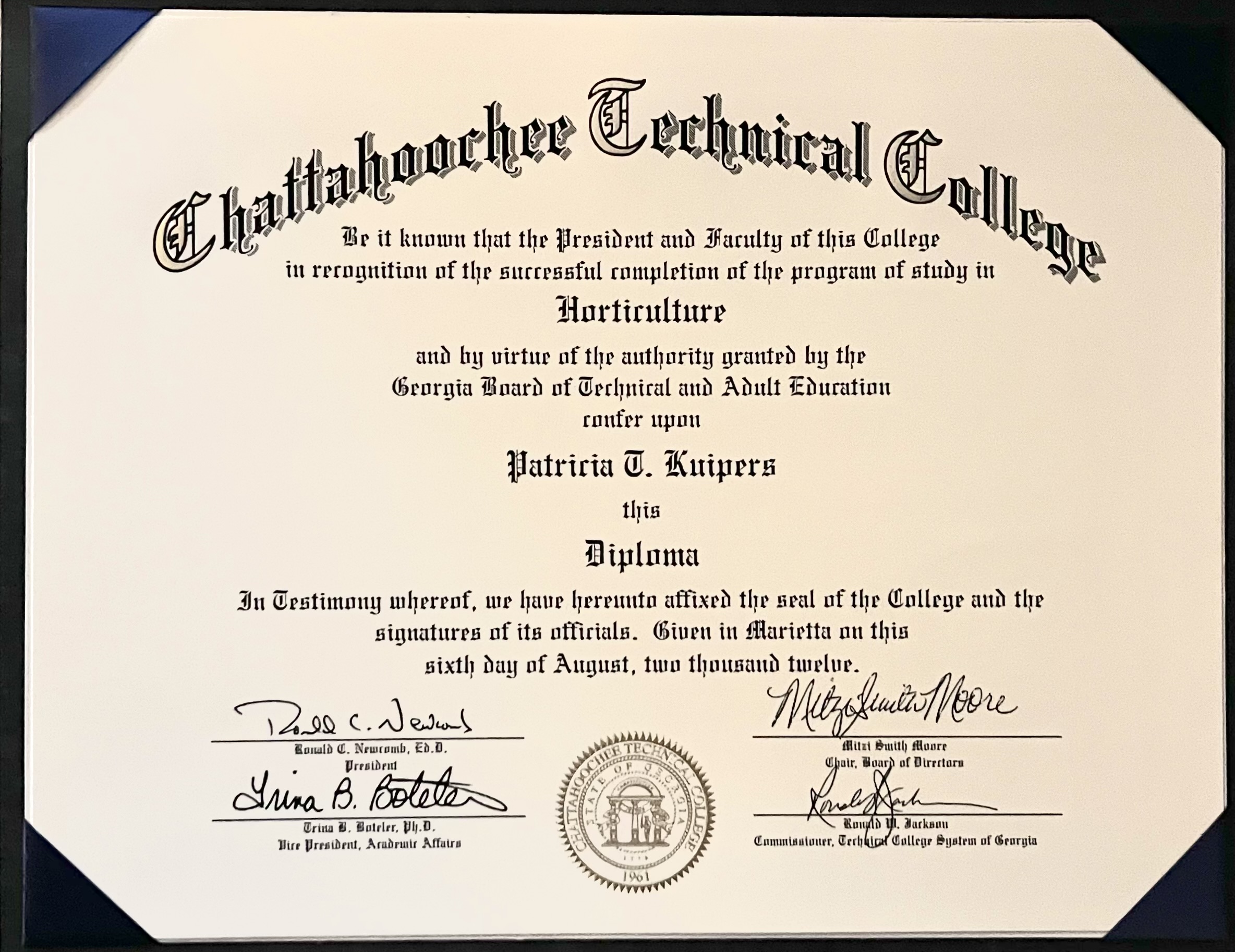 Plans and Purposes | Back 2 the Garden